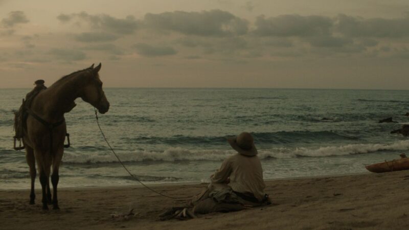 "La Arriera", cinta mexicana sobre la diversidad sexual se estrena en ...