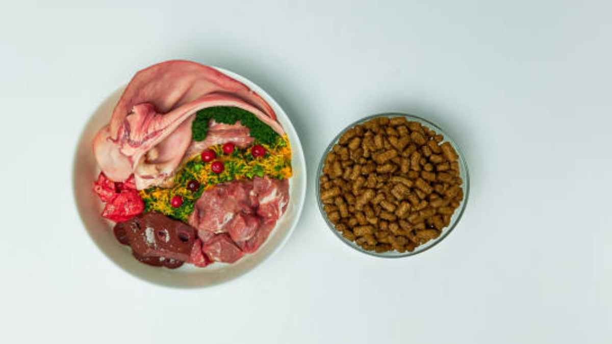 Dieta BARF: ¿Es buena opción para las mascotas? - UnoTV