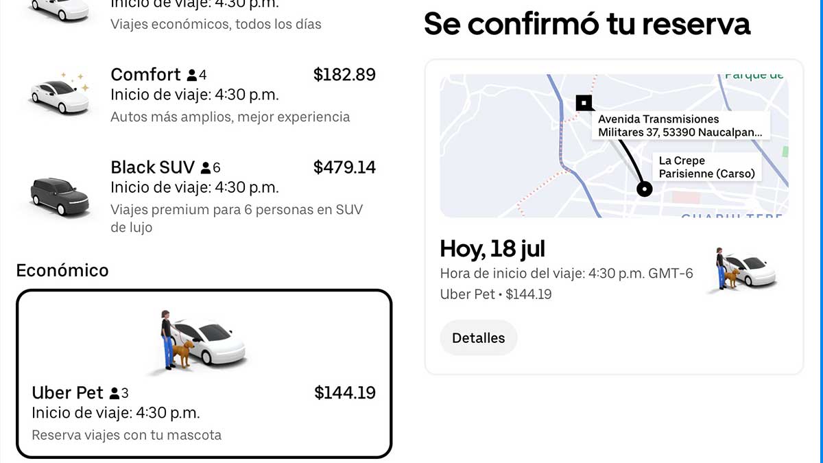 Uber Pet la app ideal para viajar con tu mascota, te decimos cómo ...