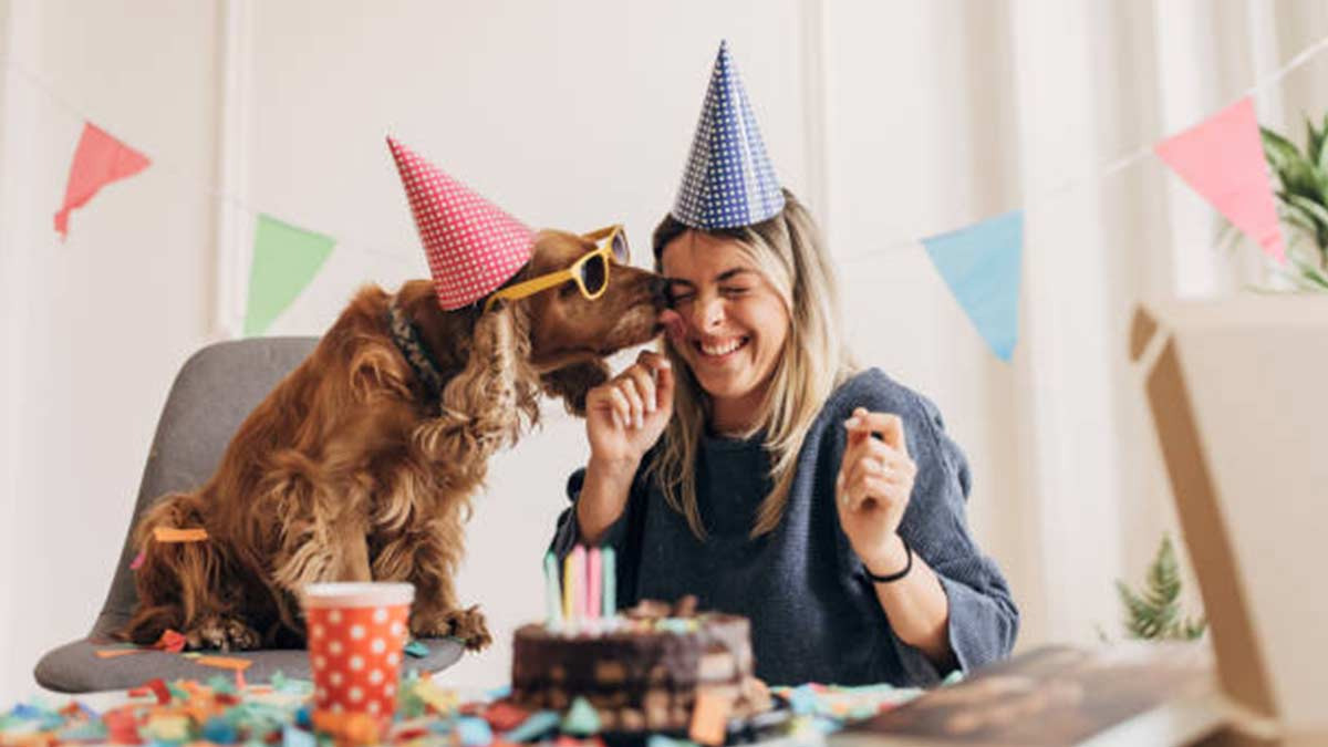 Ideas para celebrar a tu perro en su día - UnoTV