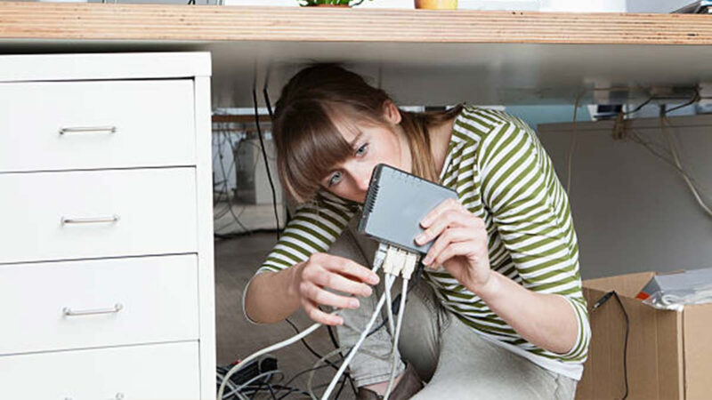 Cómo evitar que los perros muerdan cables eléctricos - UnoTV