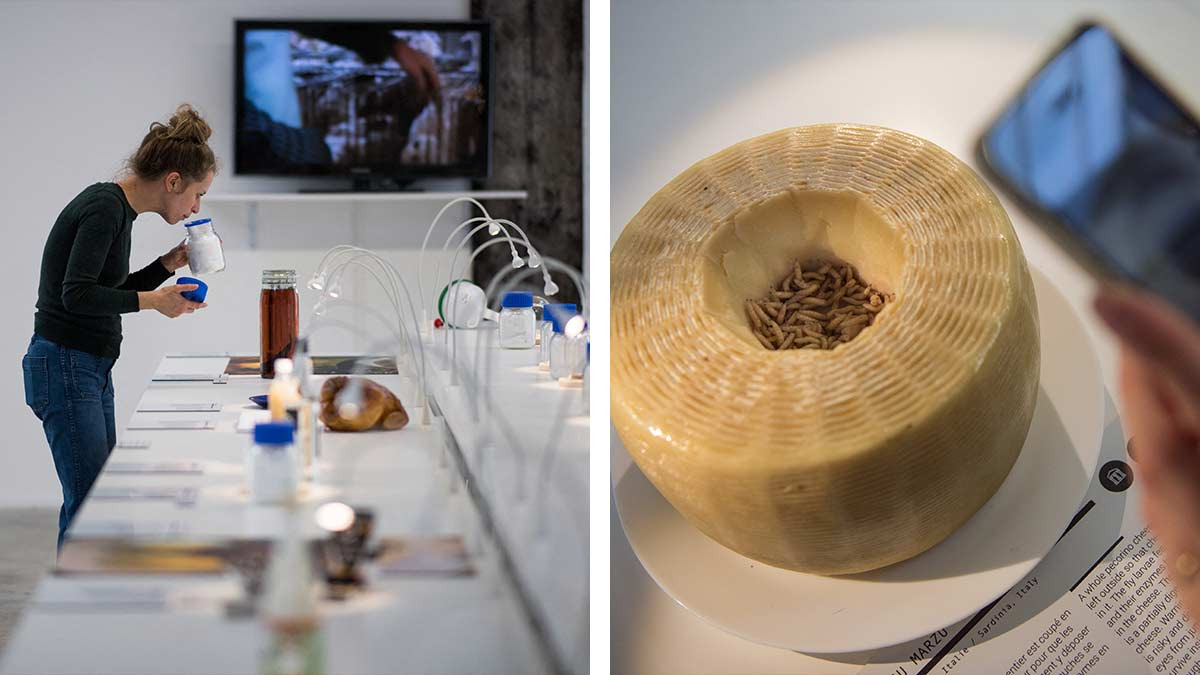 Museo de la comida asquerosa, está en Alemania y el recorrido incluye ...