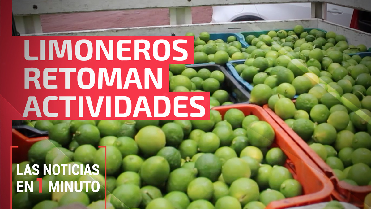 Noticias de hoy 20 de agosto de 2024, hasta las 19:00 horas - UnoTV