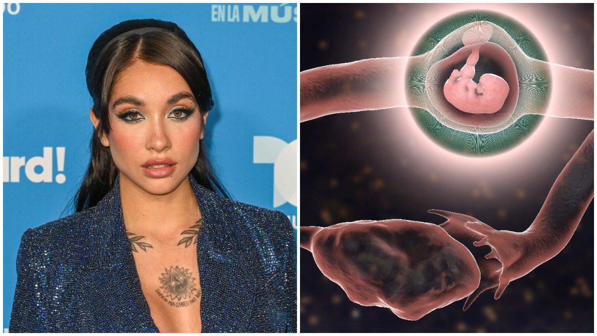 ¿Qué es un embarazo ectópico, razón por la que María Becerra perdió a su bebé? - UnoTV