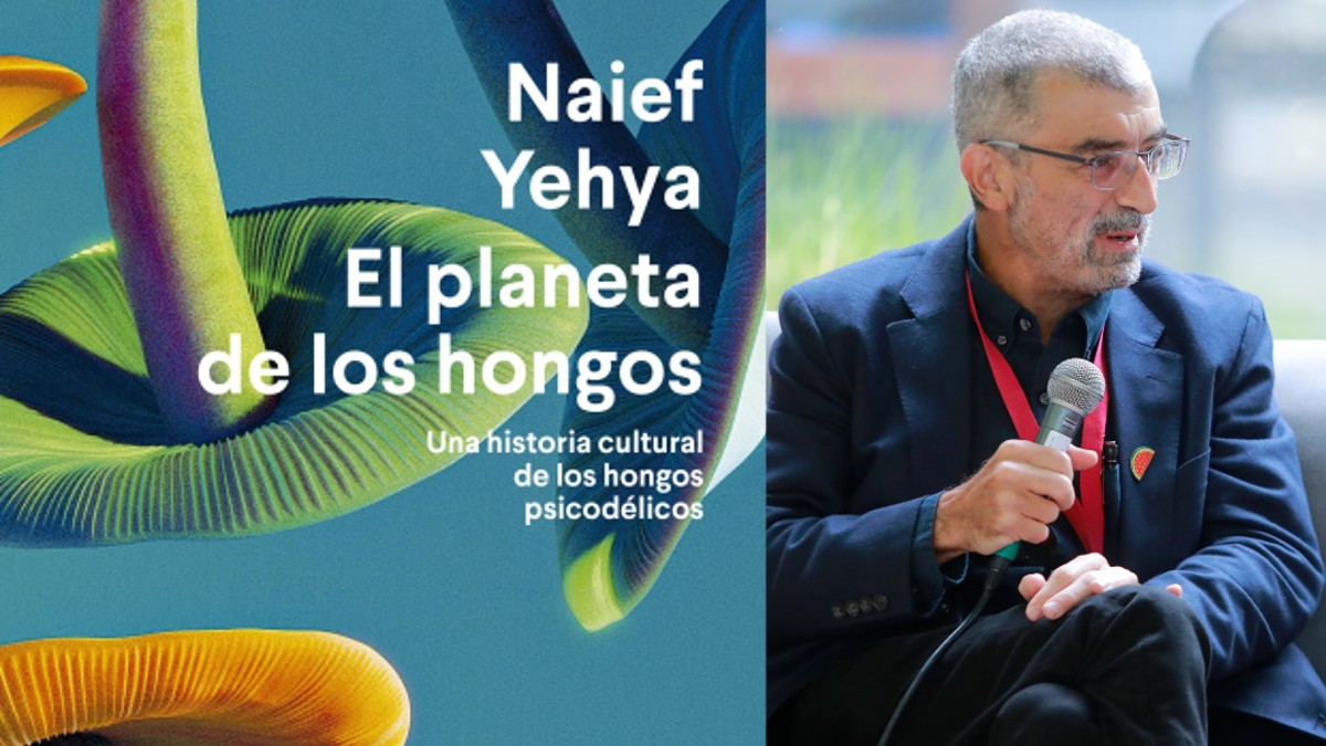 Naief Yehya y su inmersión en el mundo de los hongos en el Hay Festival Querétaro 2024 - UnoTV