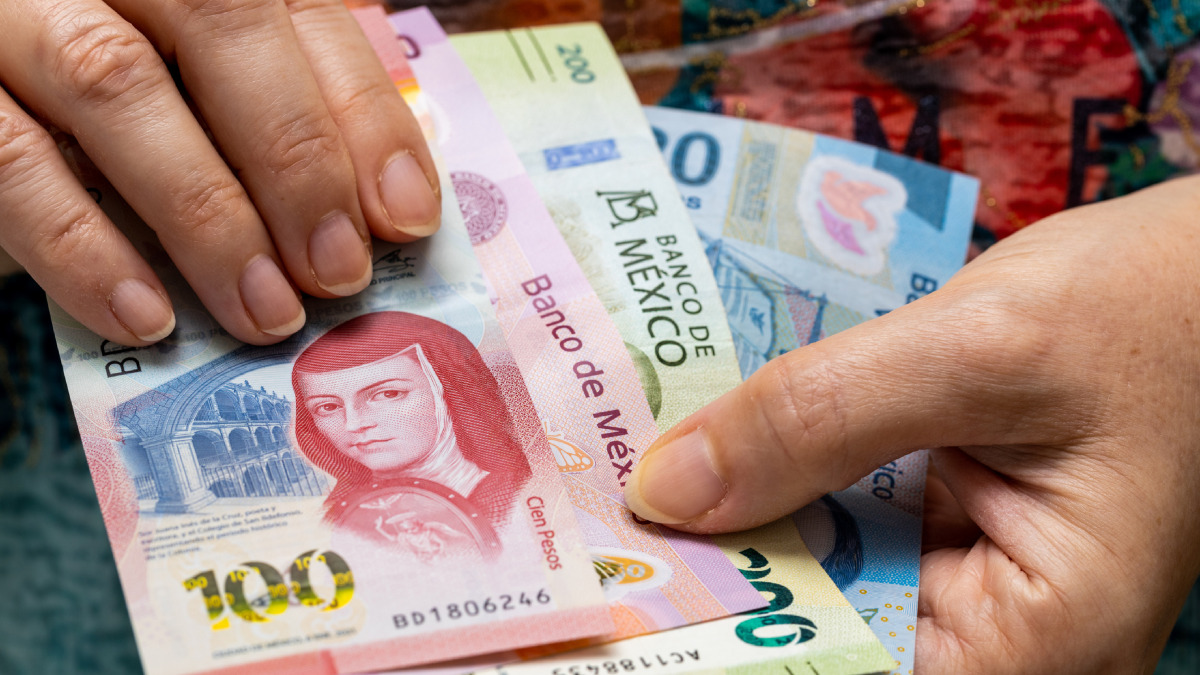 Si no estudias, ni trabajas, inscríbete y recibe un apoyo de 249 pesos ...