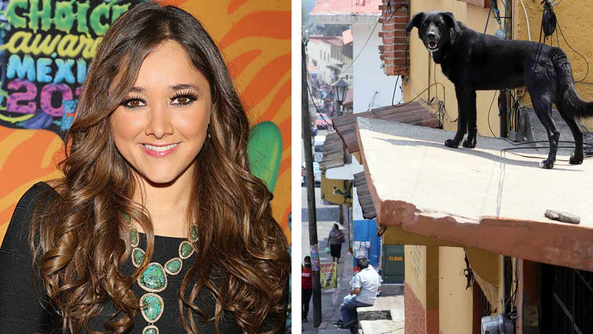 Sherlyn experimentó la vida de una mascota en la azotea para apoyar la ...