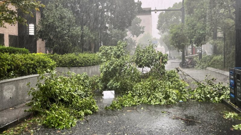 Tifón Bebinca, el más potente en azotar Shanghái en 70 años - UnoTV