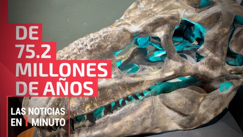 Todo en Unotv - UnoTV