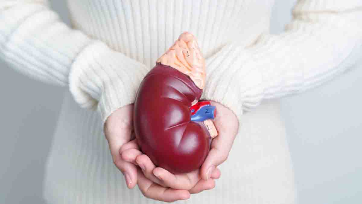 Trasplante de riñón, las principales dudas son resueltas por un ...