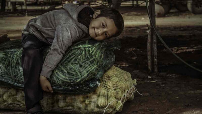 "Terminar con el hambre en México no es imposible", así trabajan los ...
