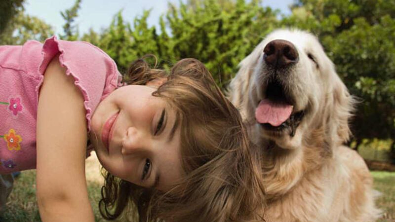 10 beneficios de tener un perro para los niños y adultos - UnoTV