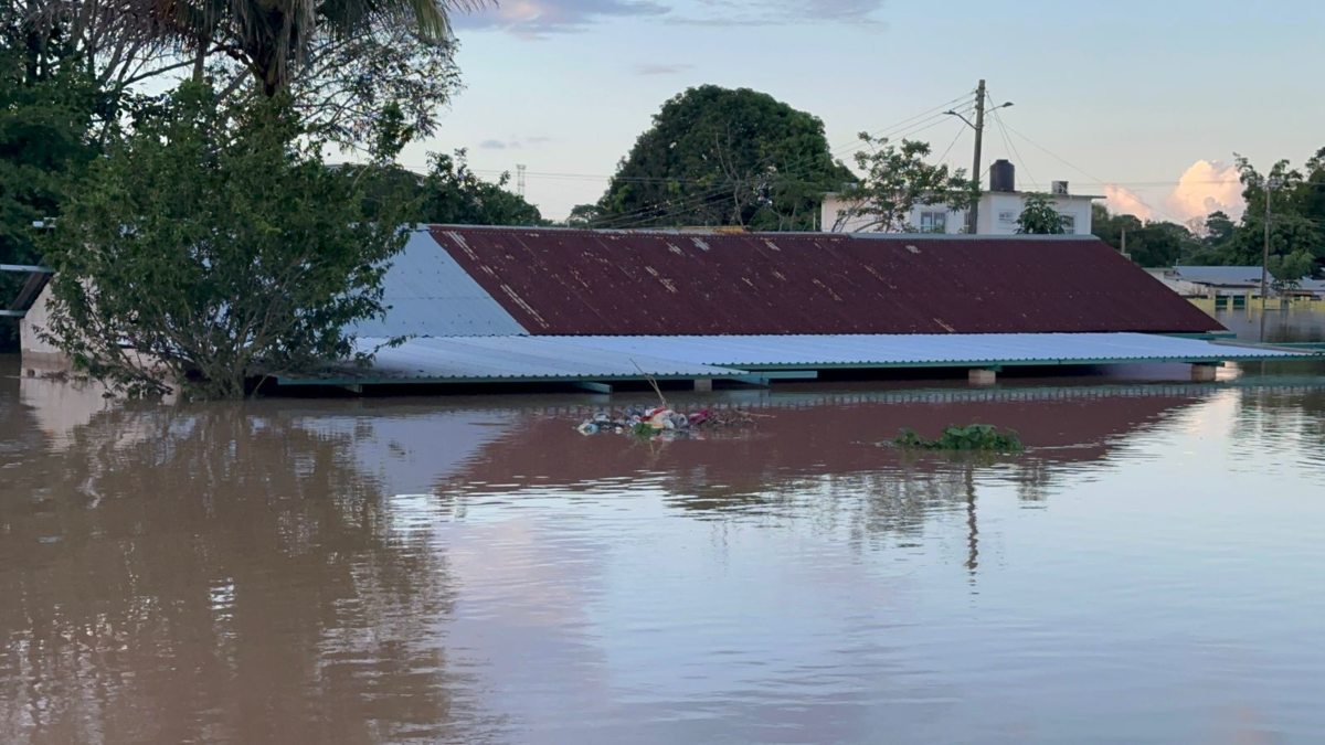 Río Coatzacoalcos devora casas en Texistepec, Veracruz - UnoTV