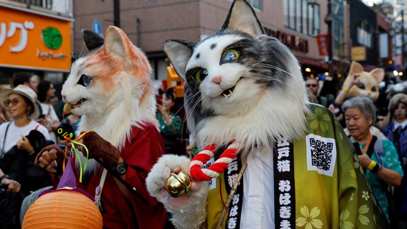 Kagurazaka Bakeneko: el festival japonés donde cientos de personas se ...