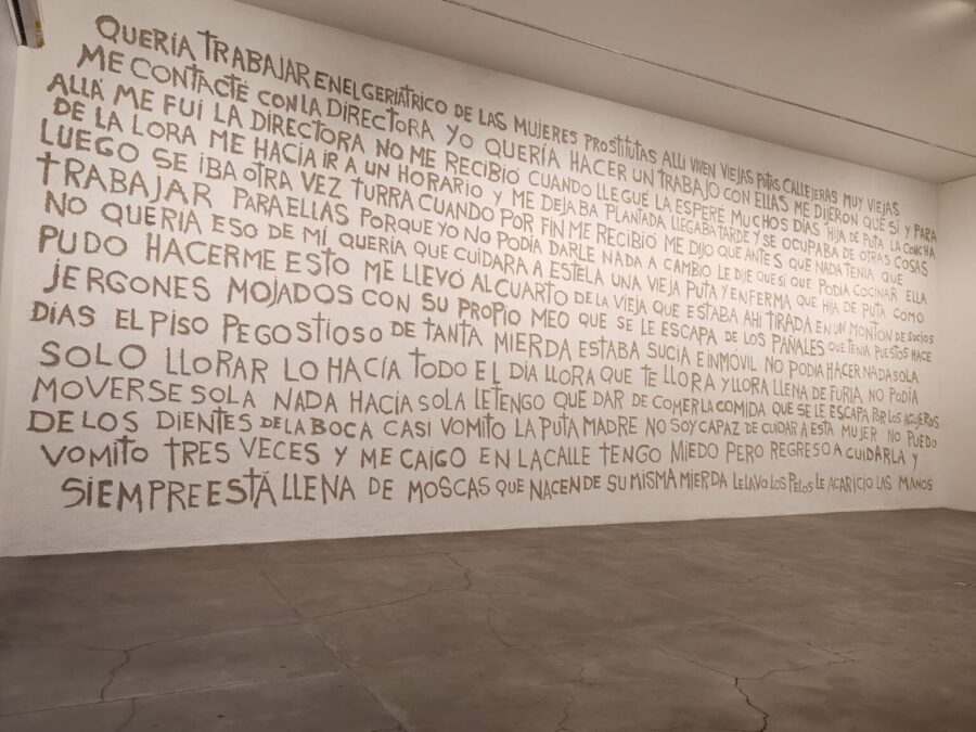 El MUAC retira obras de Ana Gallardo y pide disculpas a “las personas ...