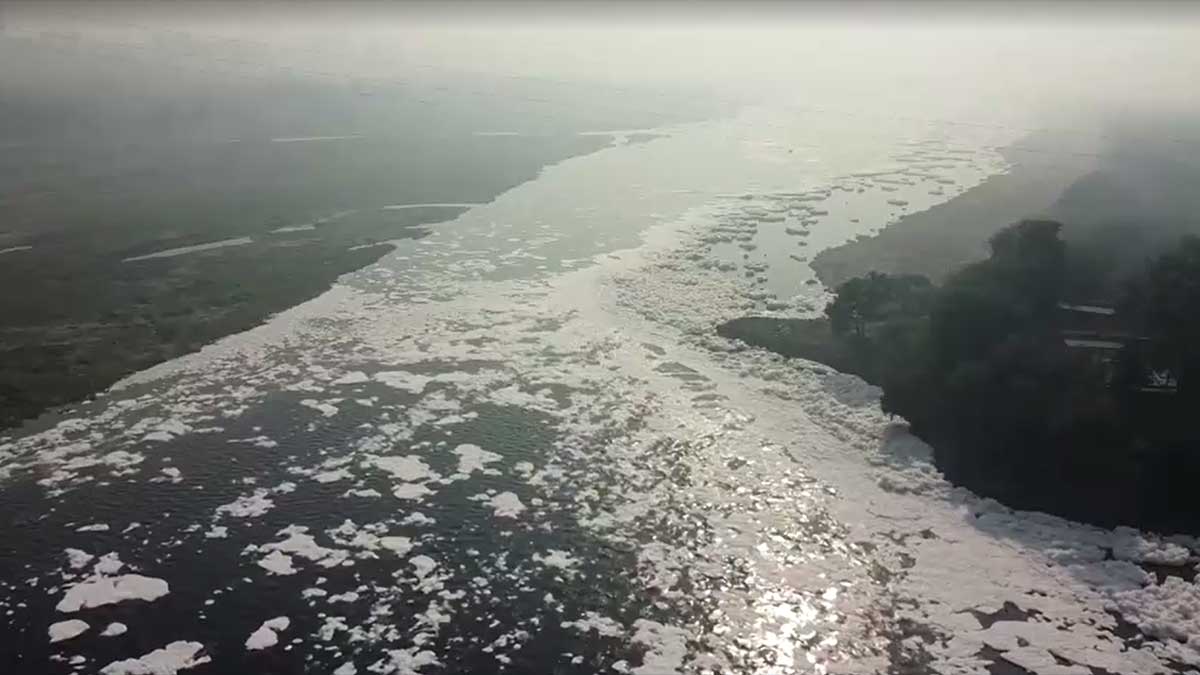 Río Yamuna cubierto de espuma tóxica: un río sin vida en India - UnoTV