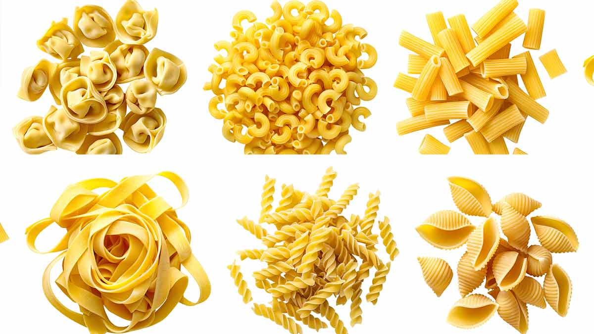 Tipos de pastas y sus respectivos nombres - UnoTV