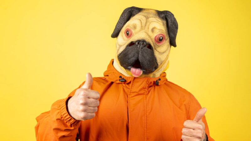 Chill Guy: el meme viral que conquista las redes sociales- UnoTV