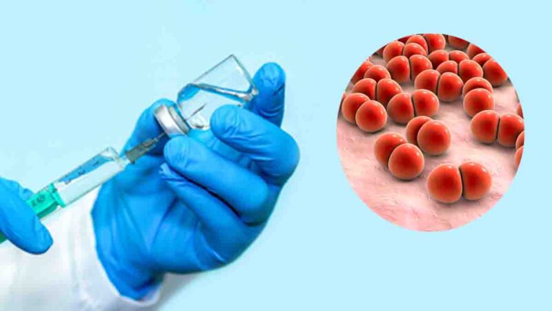 Vacuna contra neumococo estará disponible en México para 2025 - UnoTV