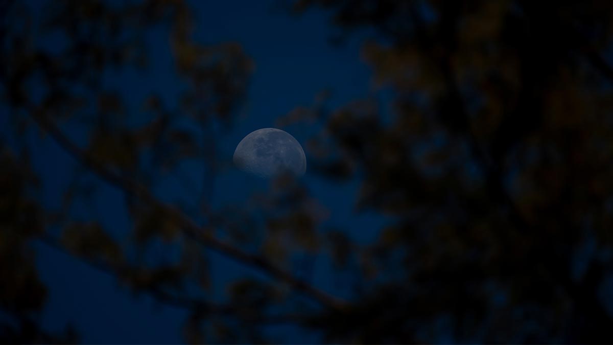 Solsticio de invierno: hoy es la noche más larga del año, ¿por qué? - UnoTV