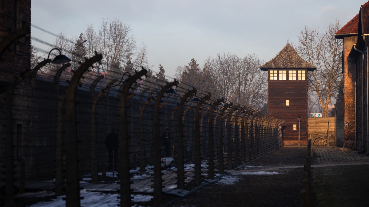 80 años de la liberación de Auschwitz: 8 películas sobre el Holocausto ... 80 años de la liberación de Auschwitz: 8 películas sobre el Holocausto ...