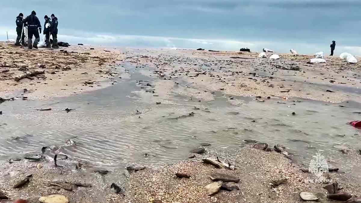 ¿Qué es una marea negra y por qué causó la muerte de cetáceos en la costa de Crimea? - UnoTV