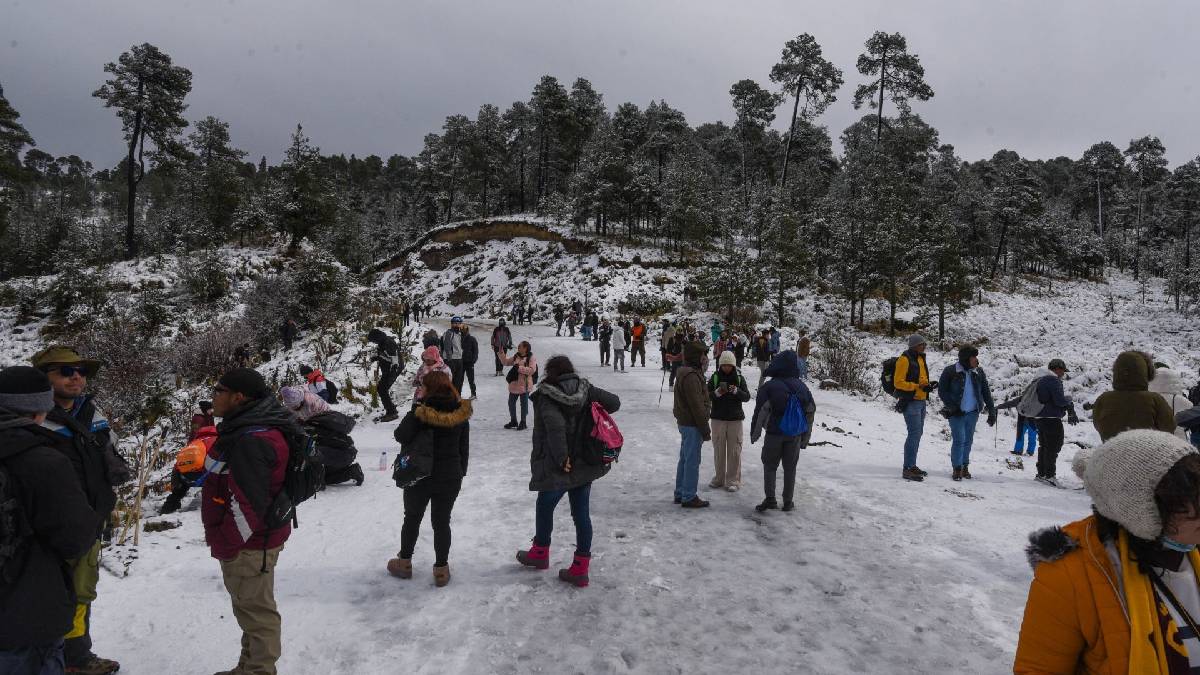 Parque de los Venados: Tu opción para disfrutar del Nevado de Toluca ...