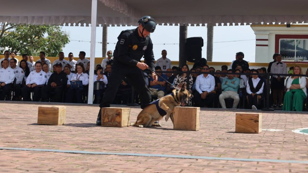 16 Perros policía de las cárceles en México son jubilados - UnoTV