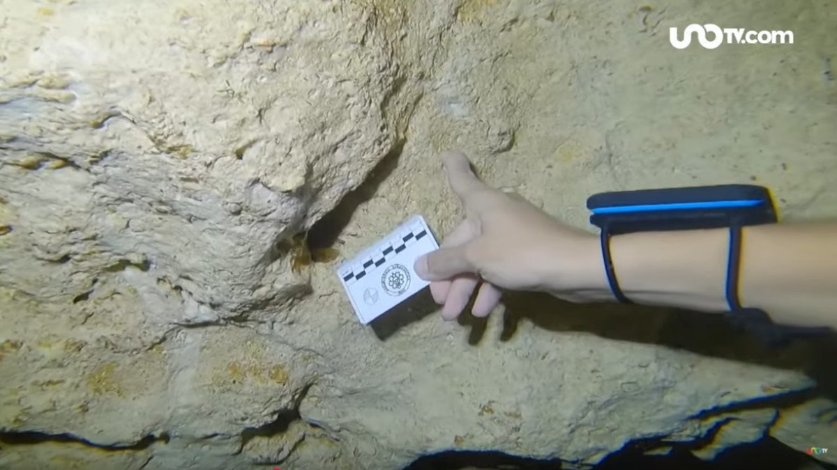 Encuentran pez extinto en cenotes de Yucatán - UnoTV