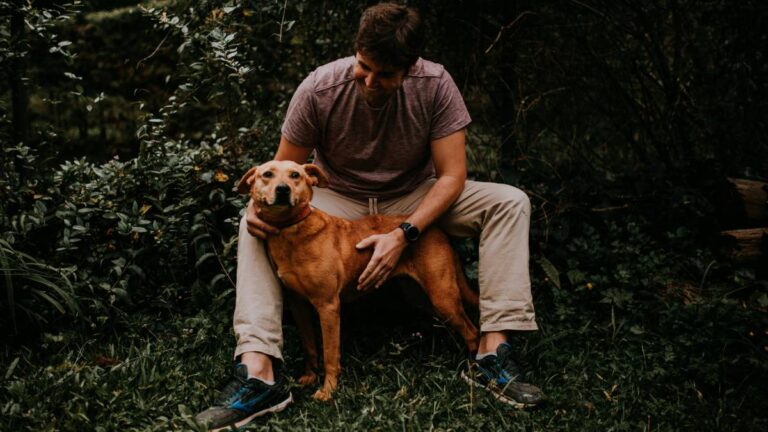 Corazón de los perros se sincroniza con el de sus humanos: estudio - UnoTV