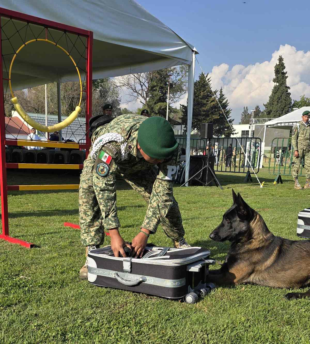 Binomios caninos del Ejército Mexicano: así viven los perros de la ...