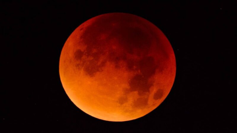 Eclipse total: ¿Por qué la Luna se pintará de rojo y a qué hora verlo ...