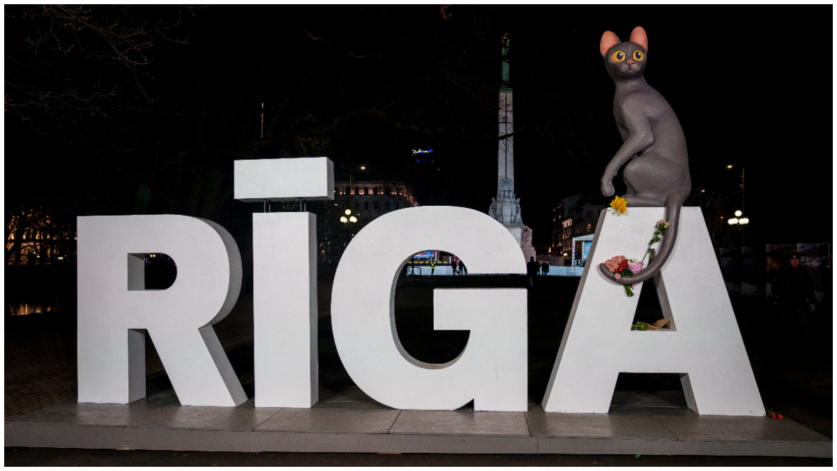 El gato de "Flow" aparece con su Oscar, ve el divertido video - UnoTV