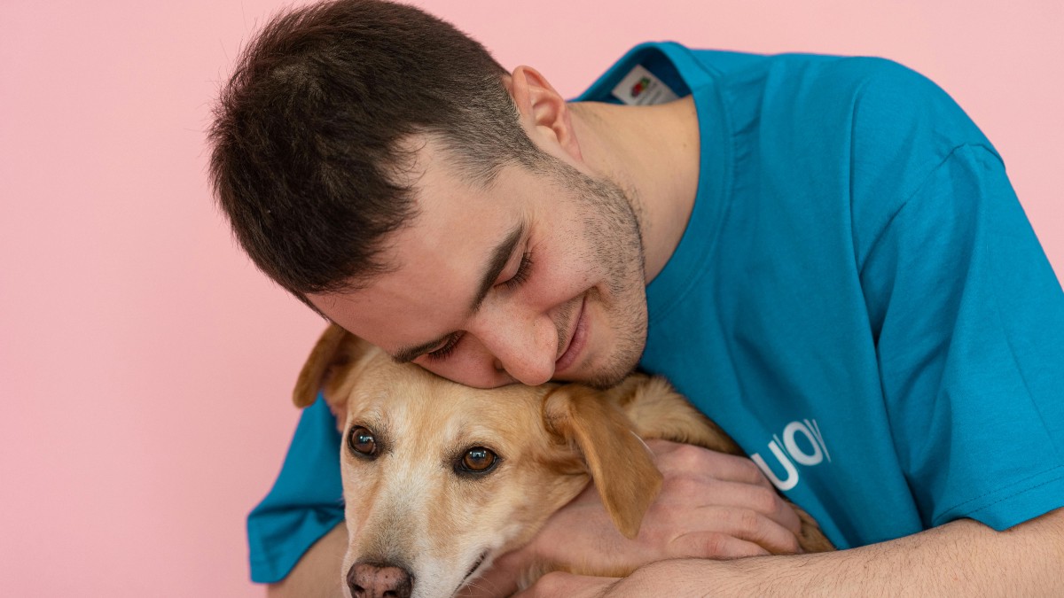 ¿Inhalar pelo de perro puede enfermarte? - UnoTV