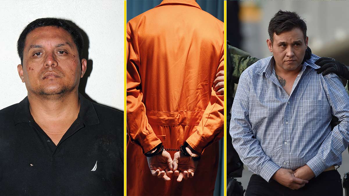 El Z-40 y el Z-42 se declaran "no culpables" en EE.UU. - UnoTV