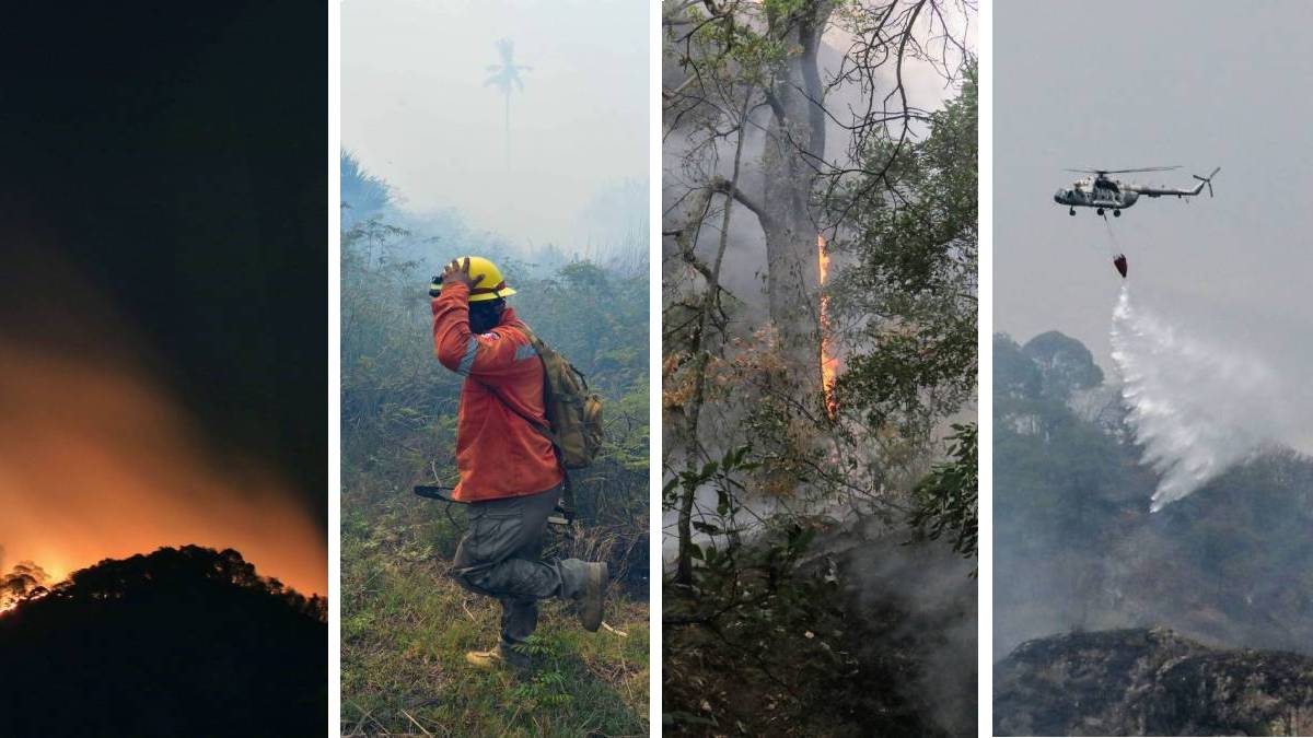 México suma más de mil 700 incendios forestales en 2025 - UnoTV