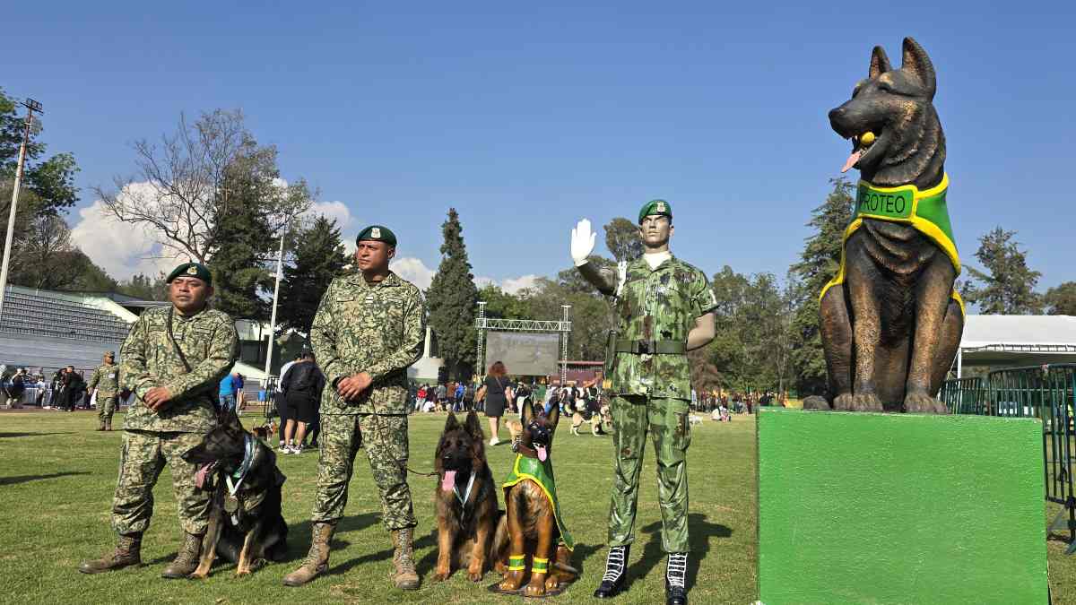 Binomios caninos del Ejército Mexicano: así viven los perros de la ...