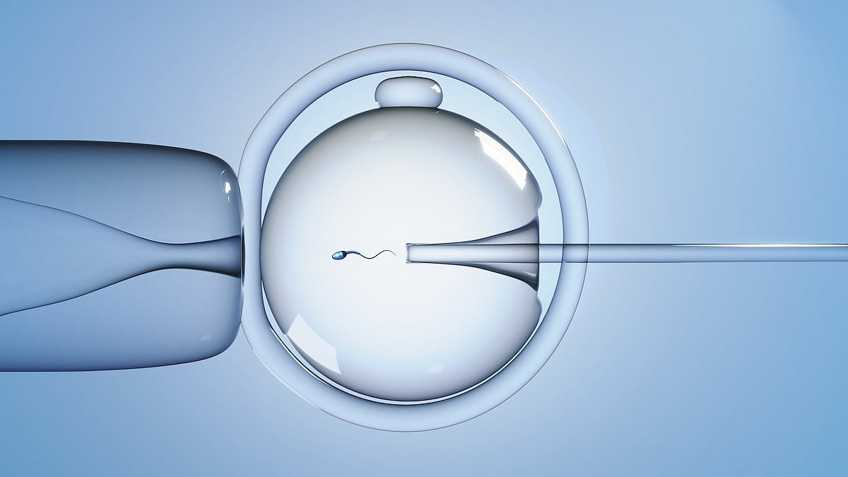 Nace el primer bebé fecundado in vitro mediante un robot - UnoTV