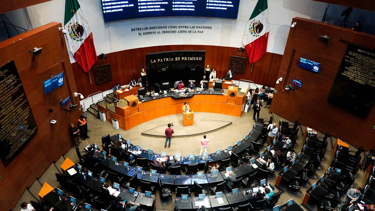 Senado emite pronunciamiento al Comité de Desaparición Forzada de la ...