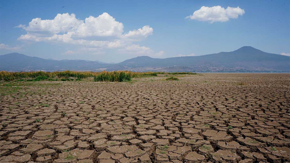 Sequía en México 2025: estados afectados, pérdidas agrícolas y crisis de agua - UnoTV