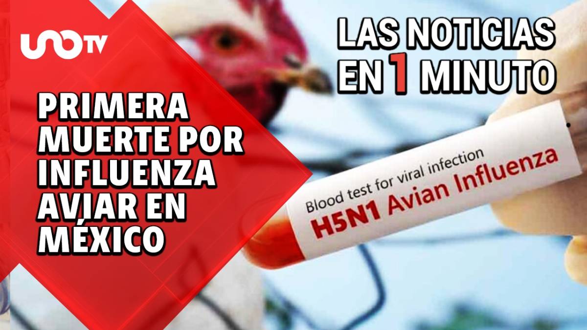 Noticias de hoy, 8 de abril de 2025, en un minuto, hasta las 14:00 horas- UnoTV