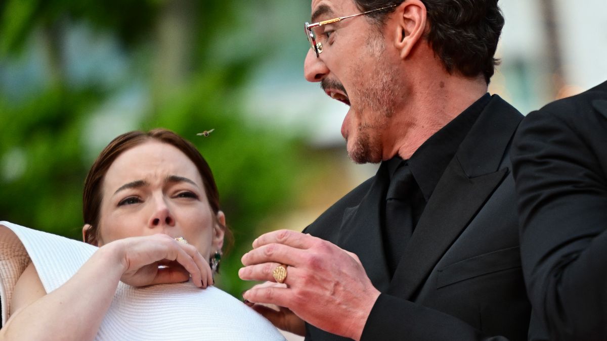 Una abeja causa conmoción en Cannes, así fue la reacción de Emma Stone ...
