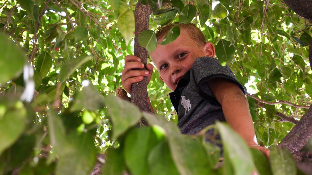 ¿Quiénes son los menonitas, los europeos que llegaron a México hace más ...