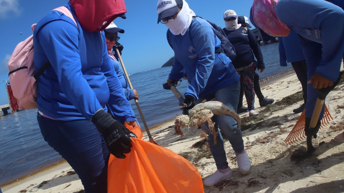 Yucatecos se suman a la limpieza de sus playas con programa que inició en Progreso - UnoTV
