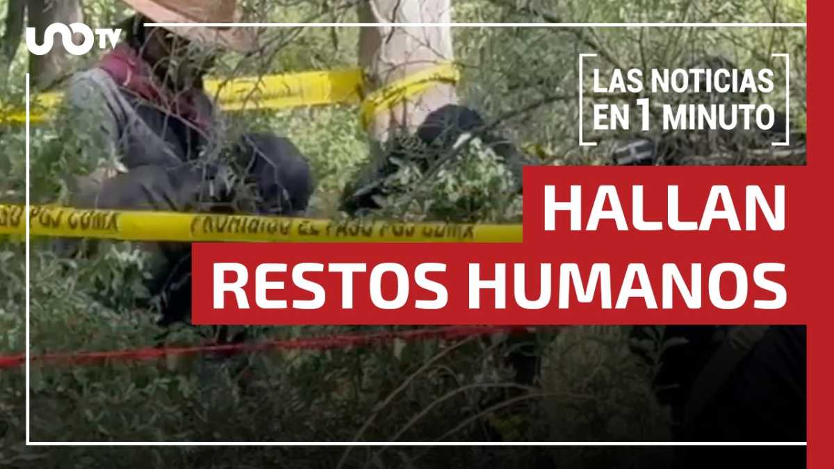 Noticias de hoy 29 de agosto de 2025, en un minuto, hasta las 19:00 ...