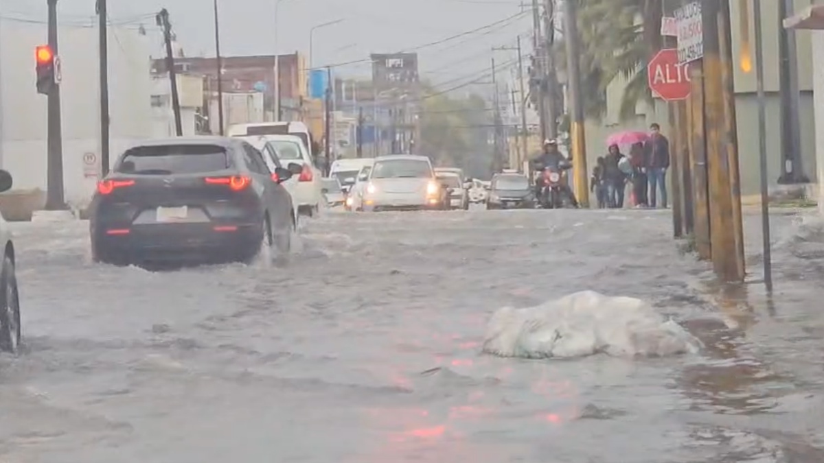 Lluvia torrencial deja inundaciones y árboles caídos en Puebla - UnoTV