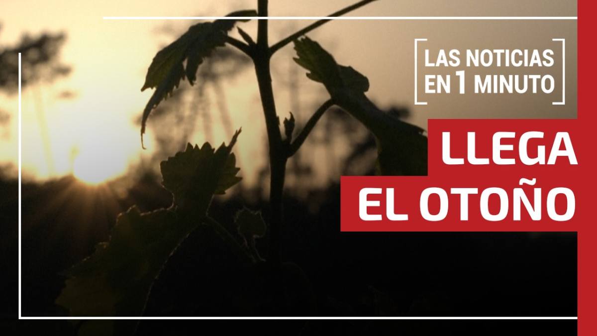 Noticias de hoy 22 de septiembre de 2025, en un minuto, hasta las 14:00 horas - UnoTV